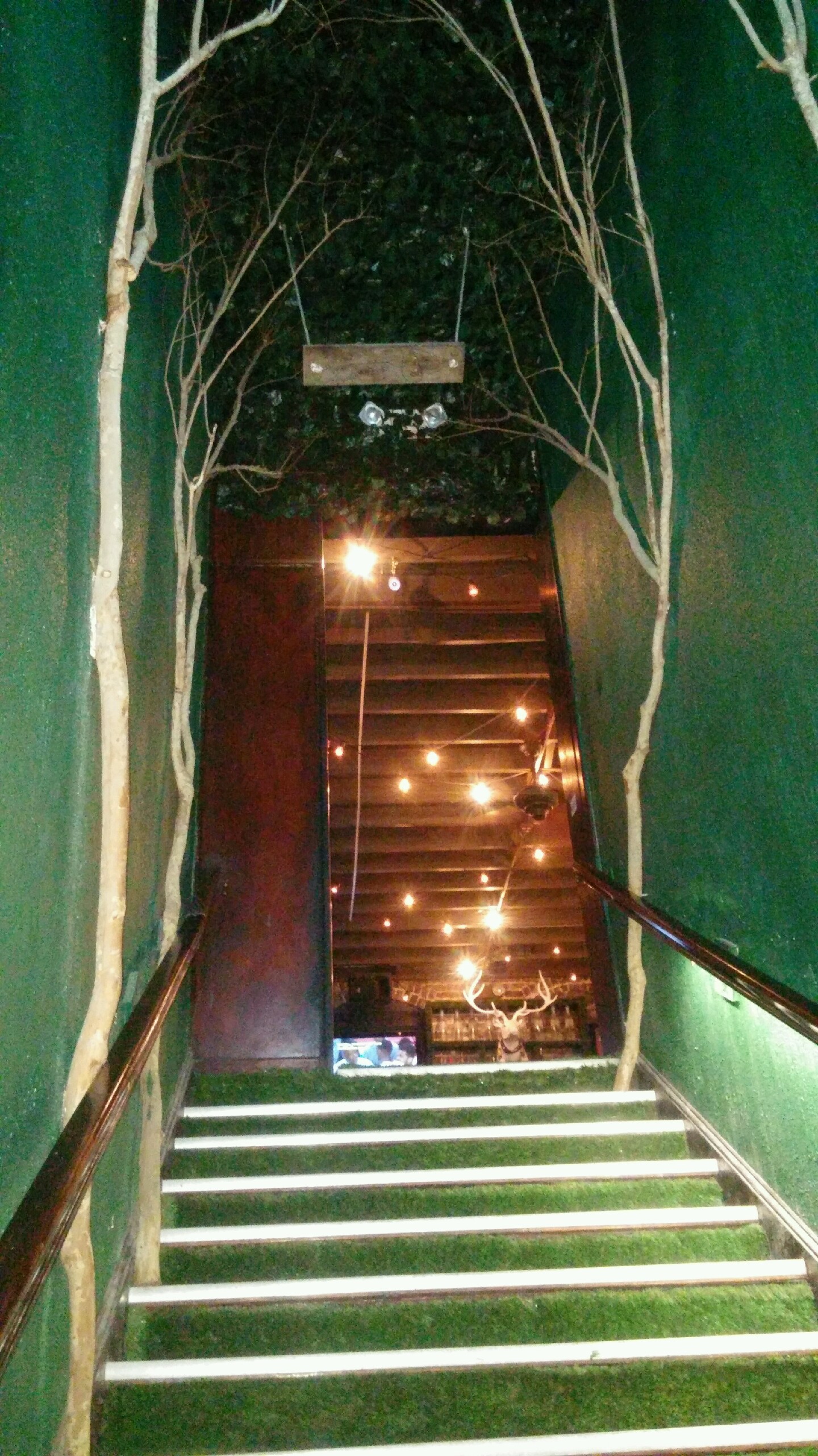 The Global Barfly’s Companion #23: The Treehouse – The Drunken Odyssey